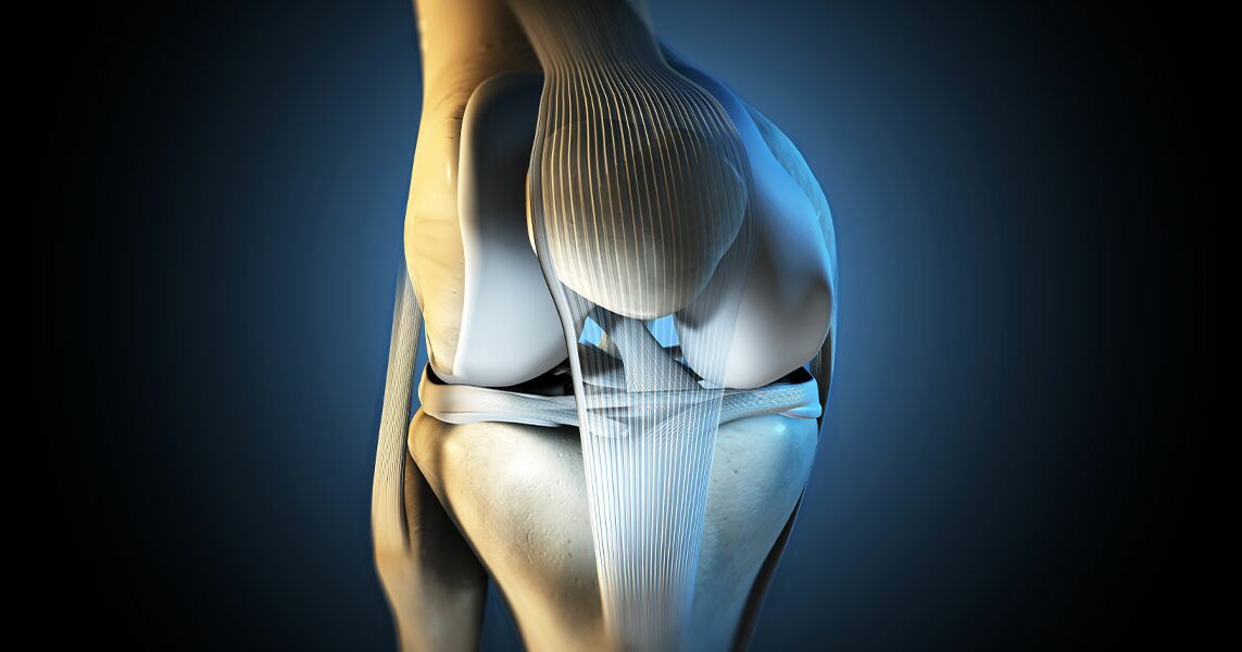 Gelenkkapsel - Capsula articularis