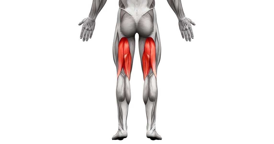 Hamstrings: Anatomie, Funktion & Verletzungen