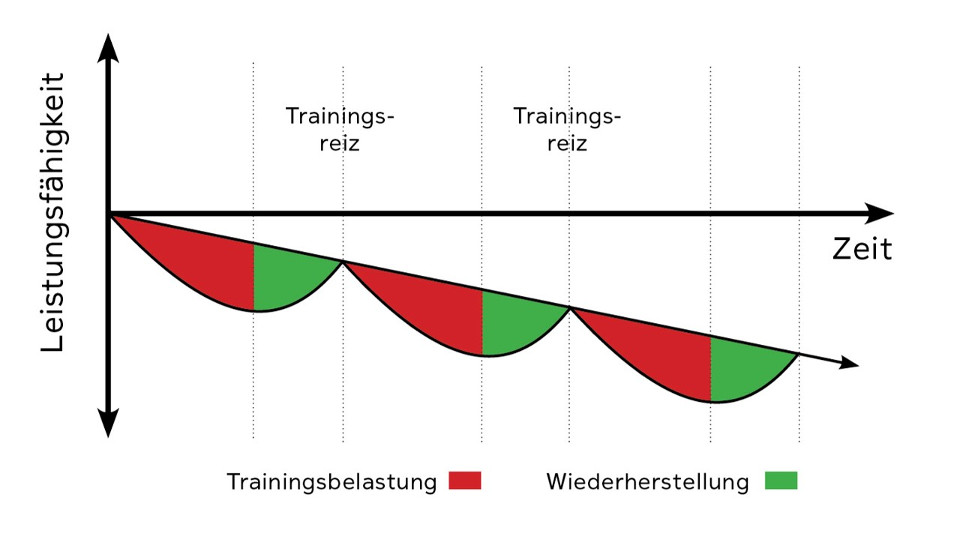 Superkompensation im Sport: Definition und Erklärung