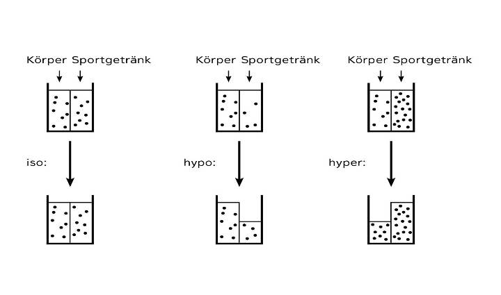 Hypotone vs. hypertone Getränke: was als Sportgetränk?